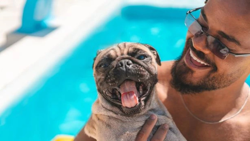 რატომ მიიჩნევენ ქალები უფრო მიმზიდველად იმ კაცებს, რომელთაც პატარა ...