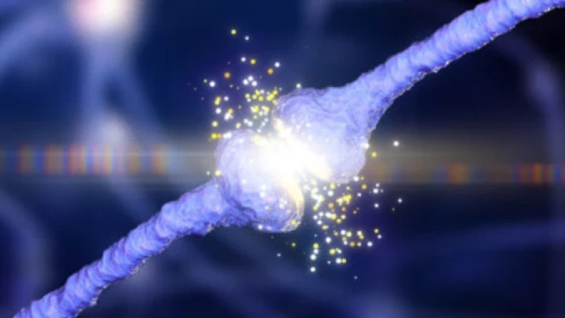 რა არის „ზომბი ნეირონი“ და როგორ ვიყენებთ მას - კვლევა