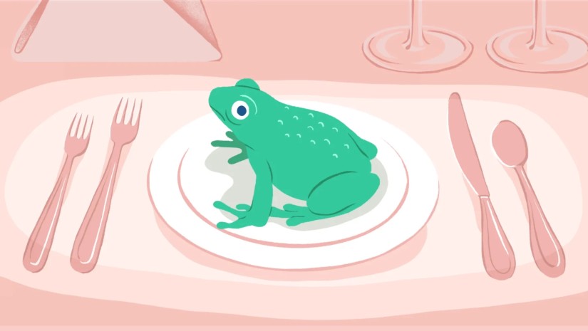 რა არის მიდგომა „შეჭამე ბაყაყი" და როგორ იყენებენ მას წარმატებული ...